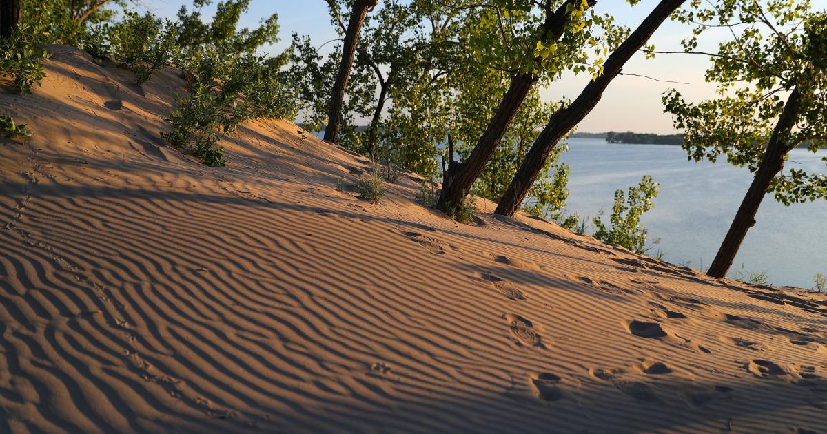 Your Ultimate Guide to Sunshine, Sips, and Sights | Visit the County