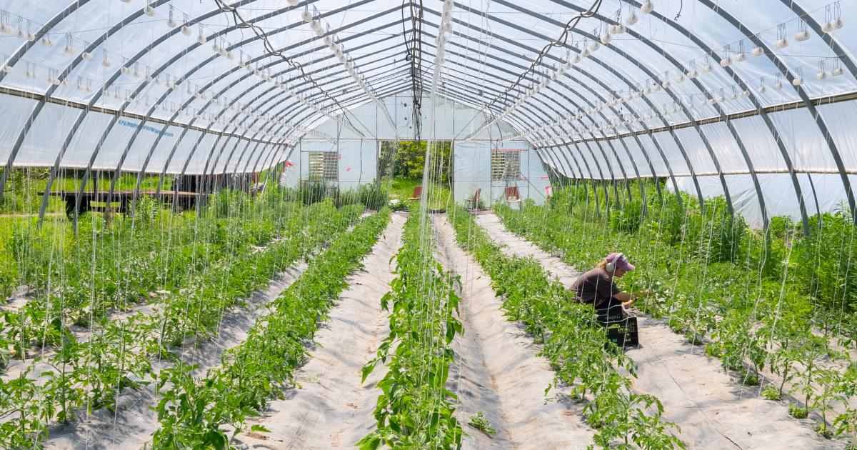 South Marysburgh: A Hidden Haven of Nature, Art, and County Charm ...